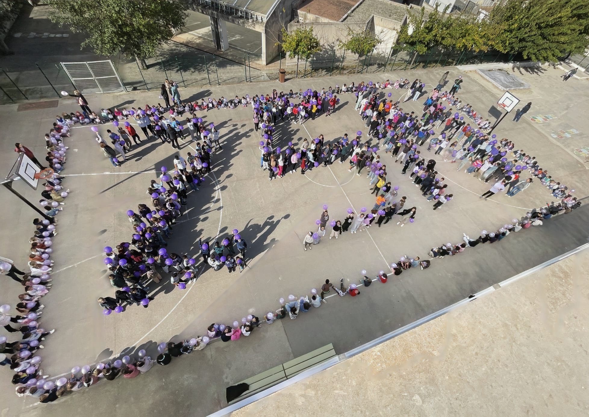 curs 2025-2026 | CEIP ELEONOR BOSCH